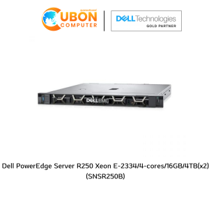 Dell PowerEdge Server R250 Xeon E-2334/4-cores/16GB/4TB(x2)